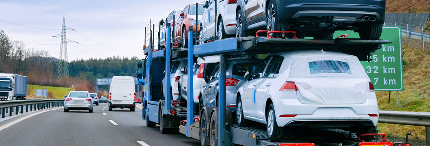 Everything You Need to Know About Car Shipping